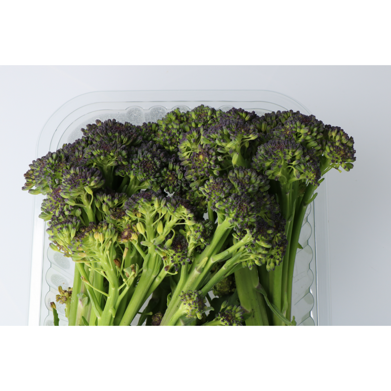 Mini broccoli | Van Laethem